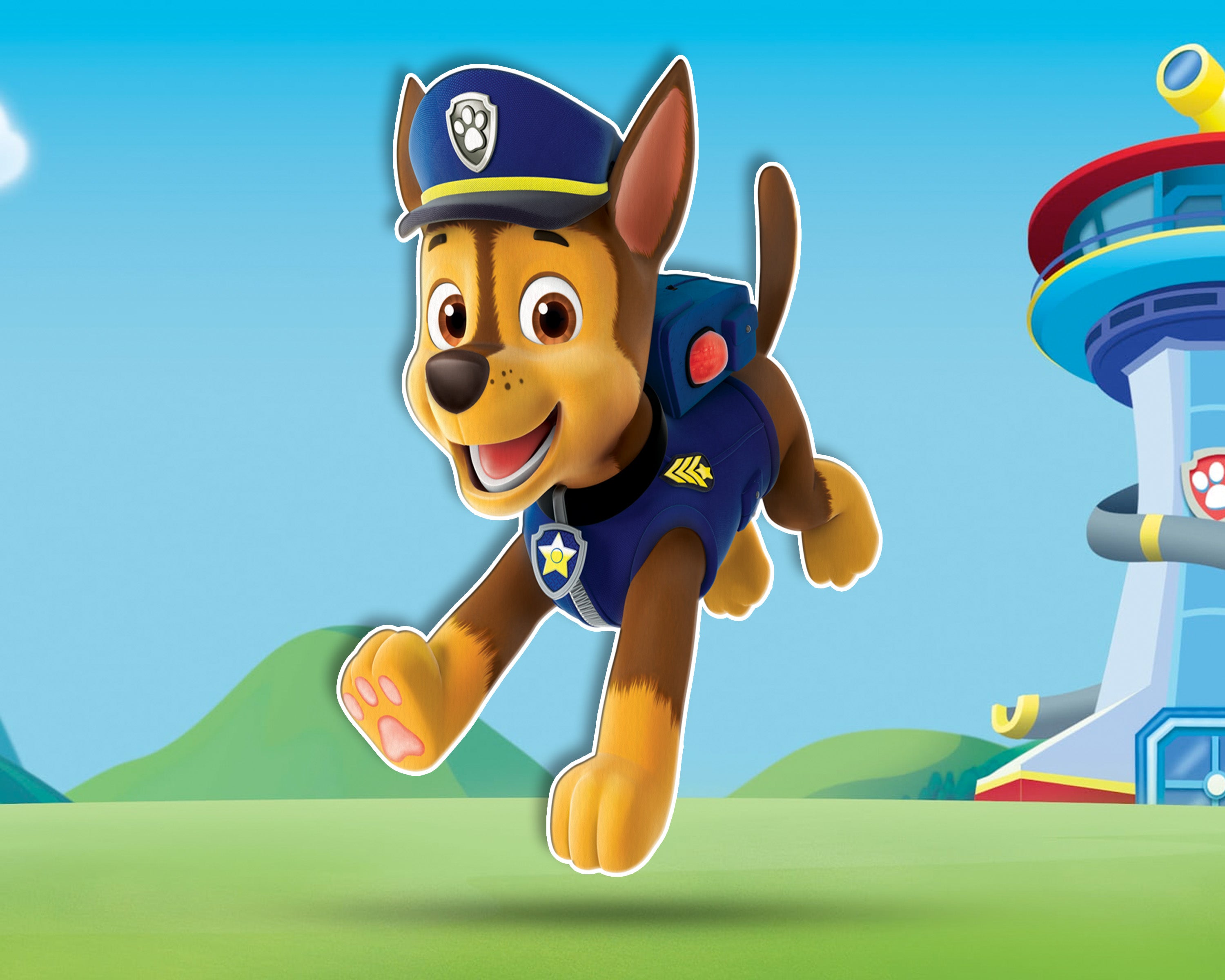 Paw Patrol Theme Chase Cutout | Birthday Party Decorations Online ...