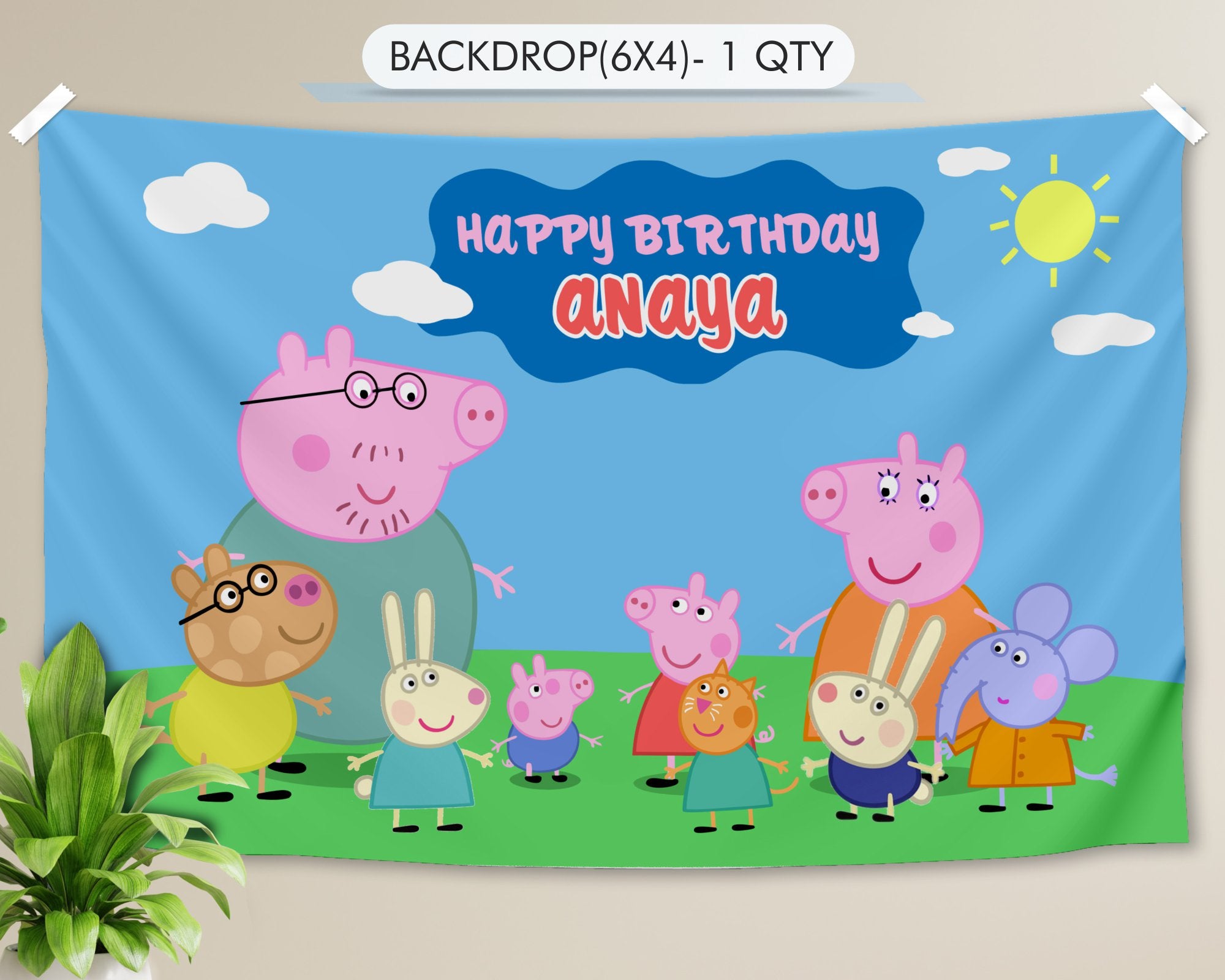 Peppa Pig Boy Theme Exclusive Kit | Party Supplies Kit Online – Party ...